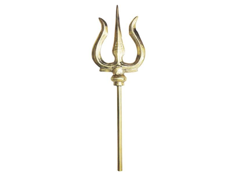 Services - Trishul Consulting